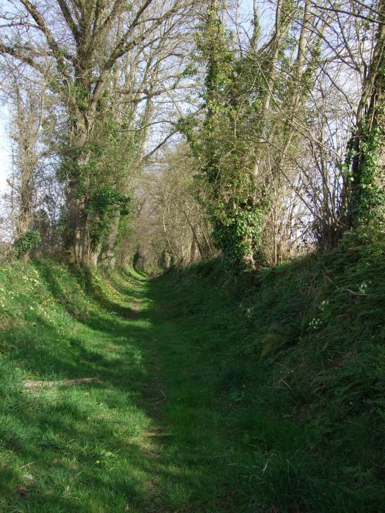 Contribution de Manche-Nature à l’enquête publique concernant l ...