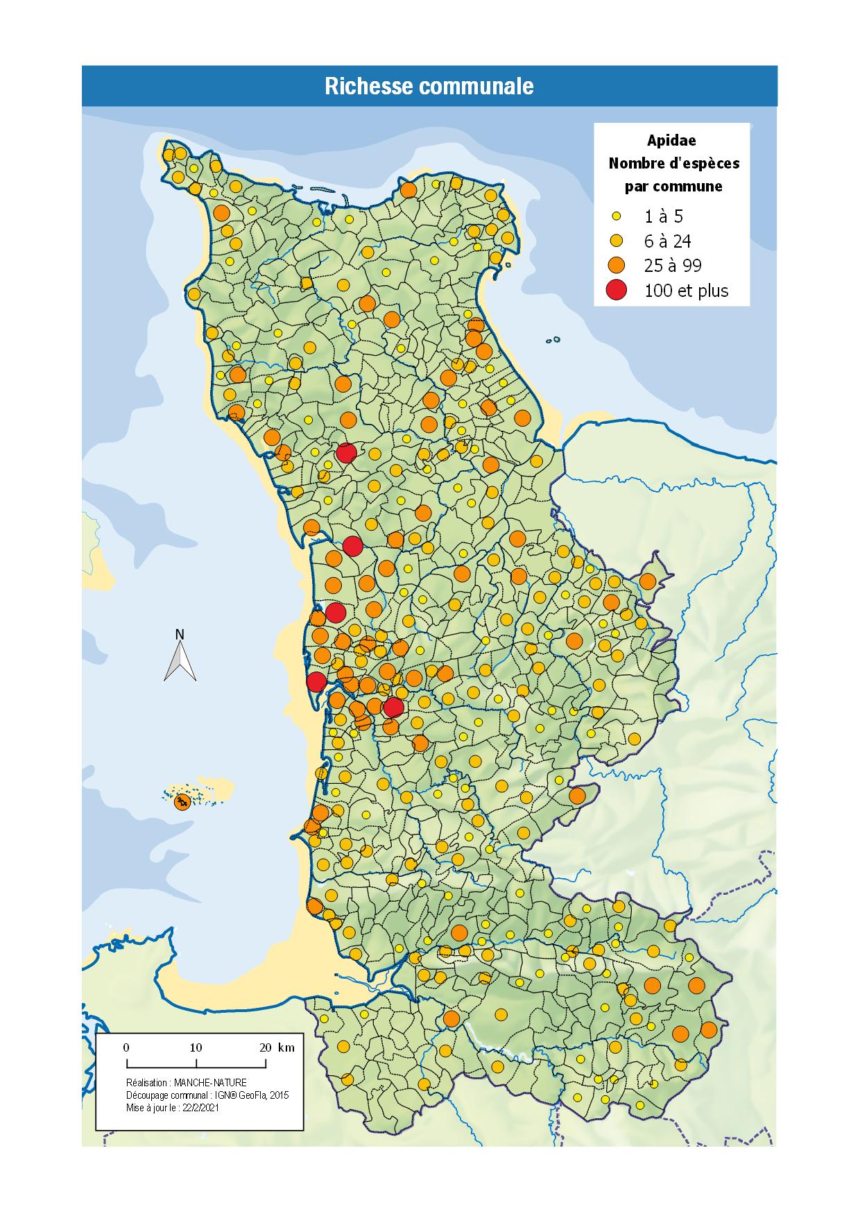 Cartographie des apidés (Apidae)